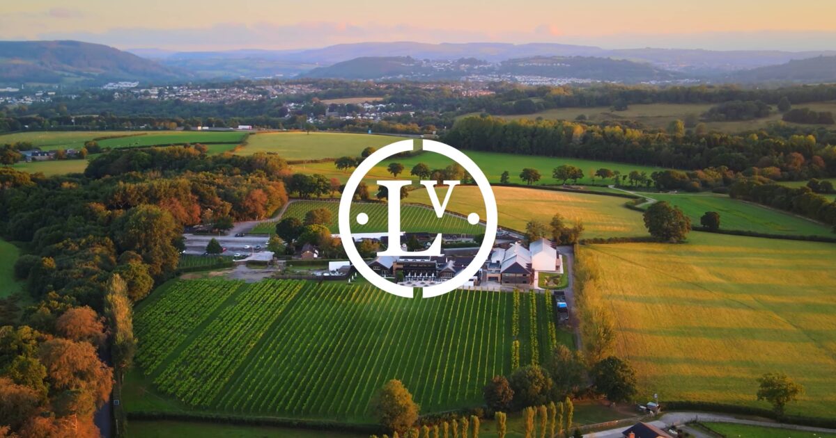 Terms & Conditions | Llanerch